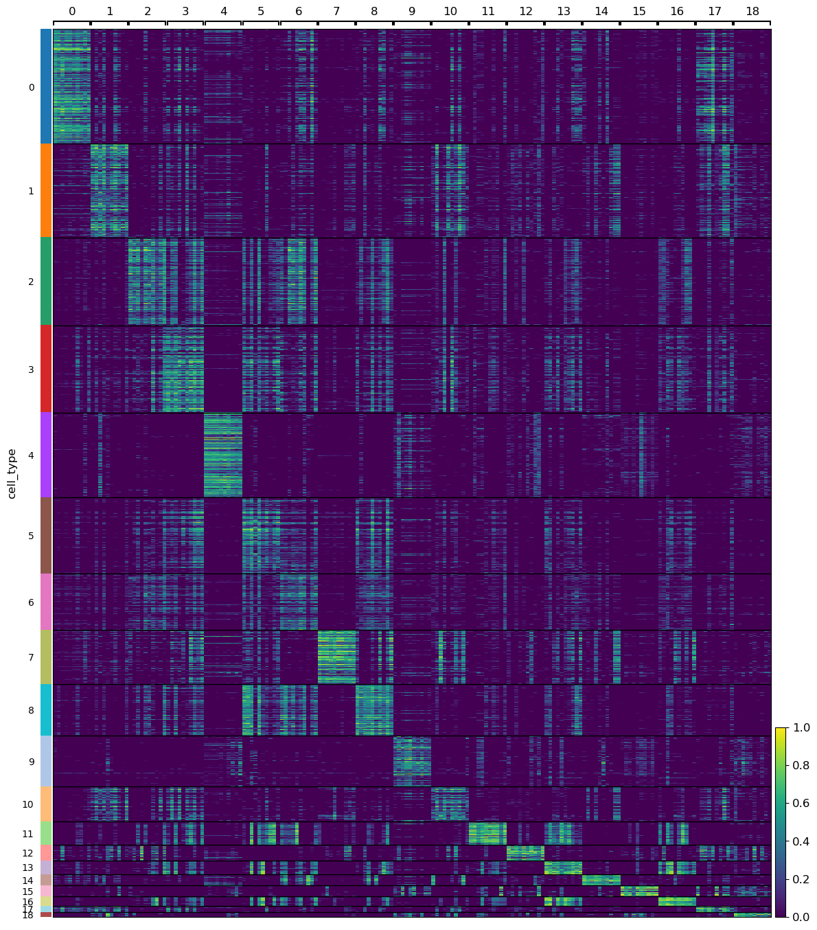 CosMx Mouse Brain data Tutorial — SpaLP